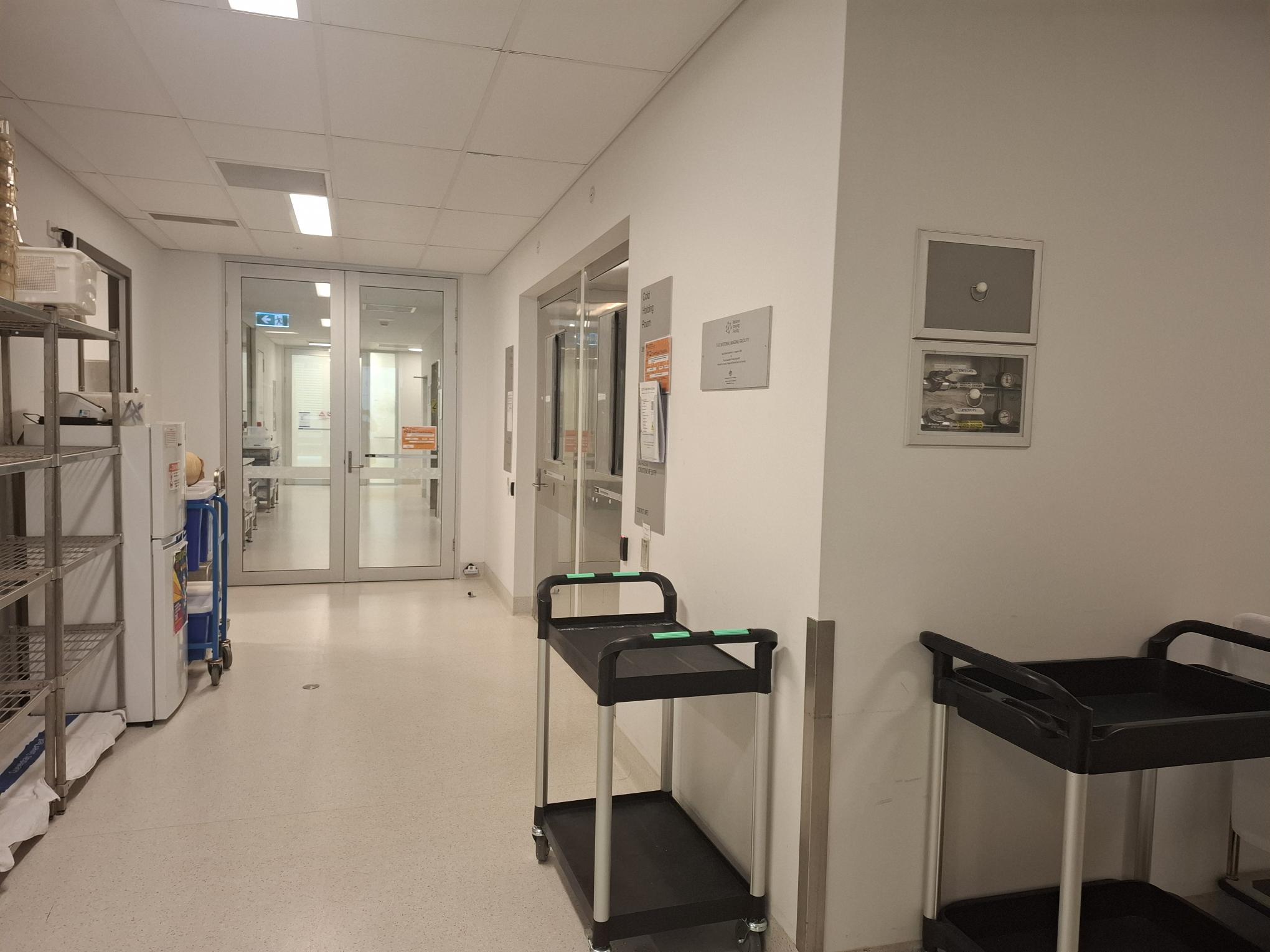 BR-CAI | Rodents - Biological Resources - University of Queensland